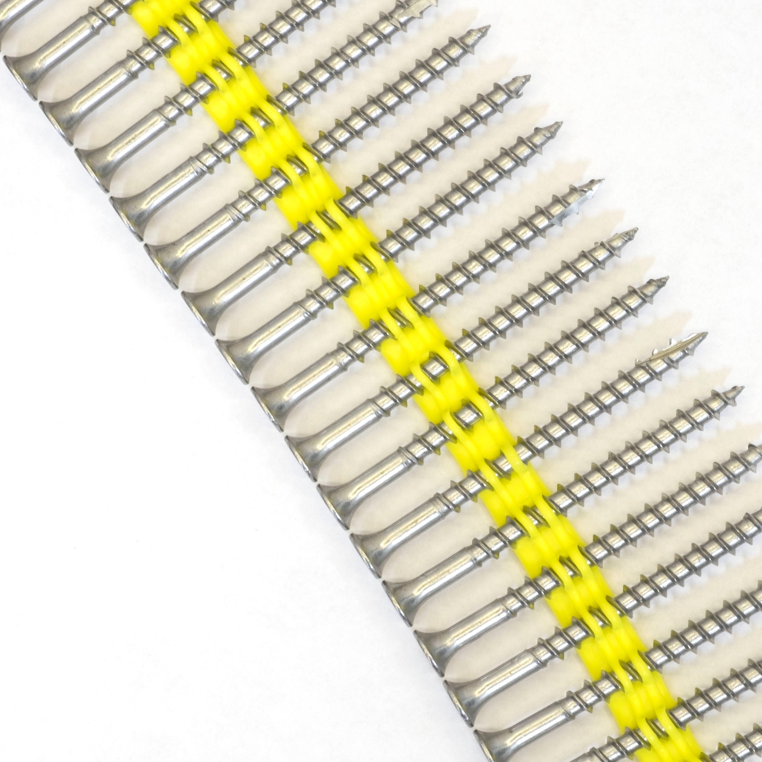 Stainless Steel Collated Screws